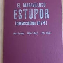 El maravilloso estupor - Lata Peinada